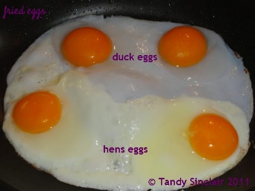 Cooking duck eggs store